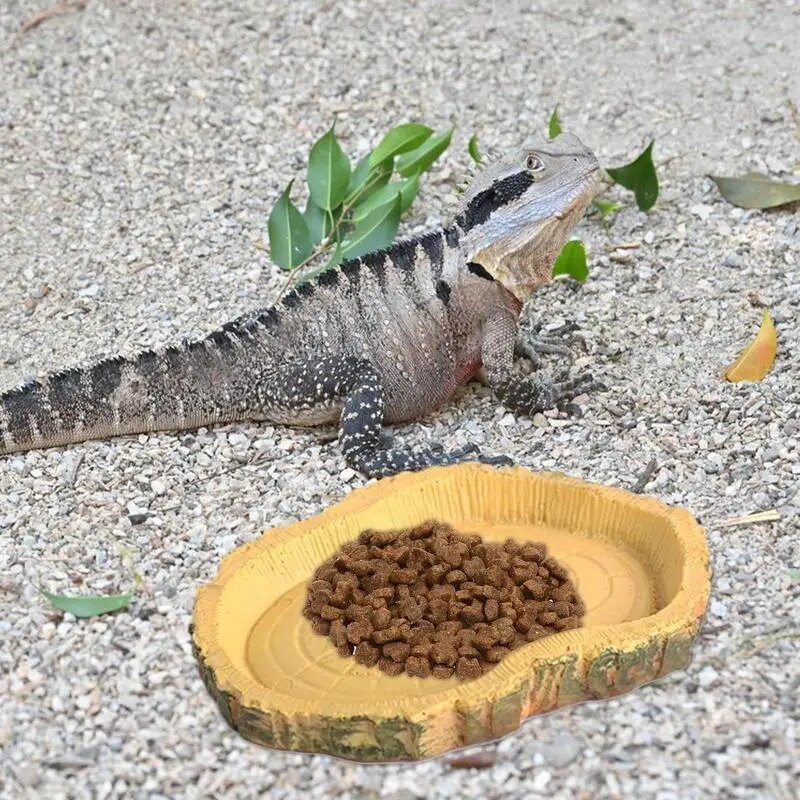 Блюдо для кормления черепахи, имитация миски для домашних животных, забавные товары для домашних животных, портативные кормушки-хамелеоны для бородатых драконов, ящериц