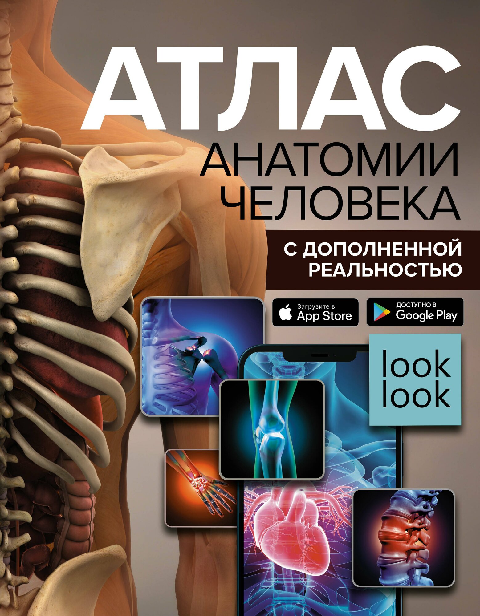 Книга: "Атлас анатомии человека с дополненной реальностью" от Спектор А, русский язык, Биология человека. Антропология