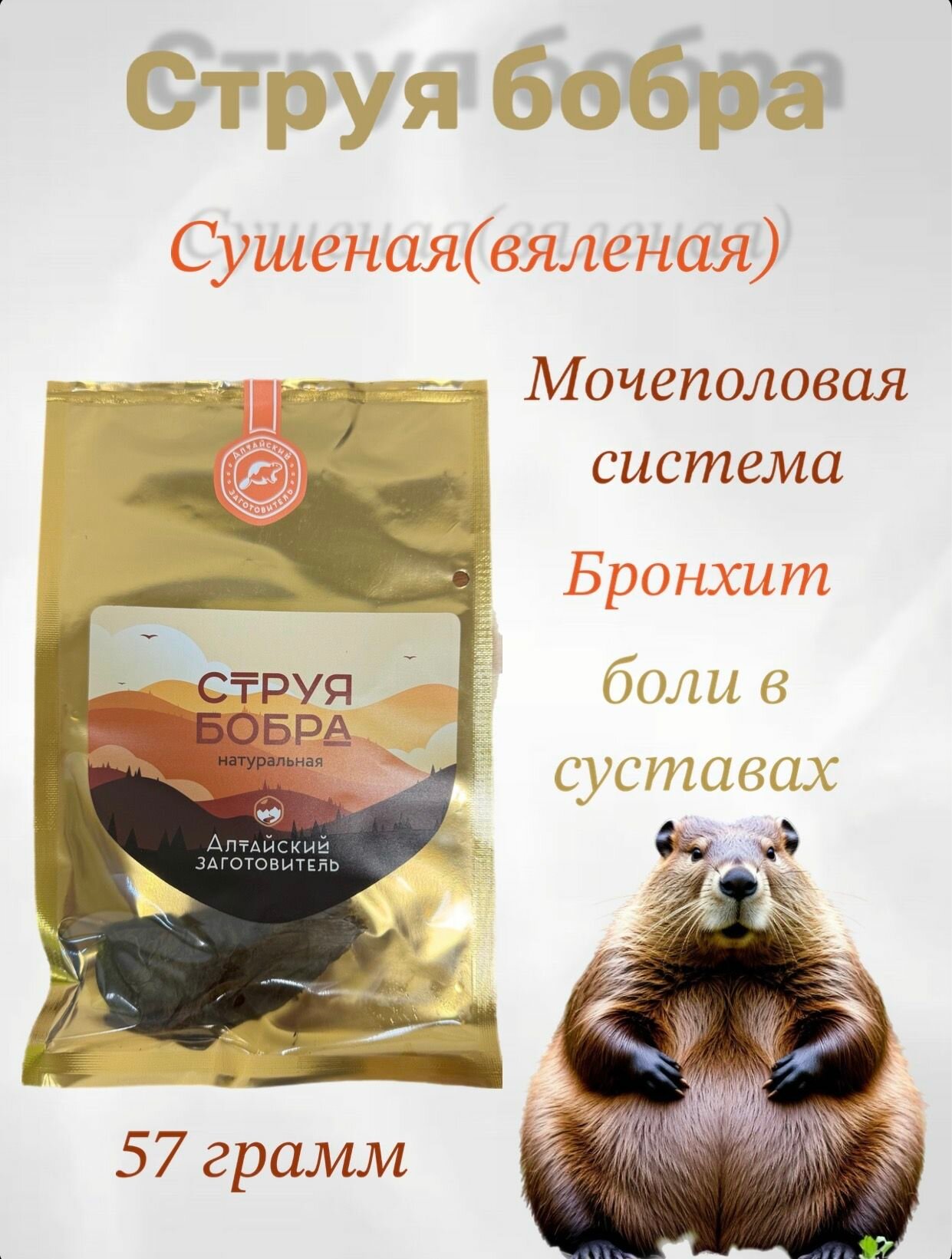 Струя бобра вяленая Кастореум - Бобровая струя сухая, 57 грамм