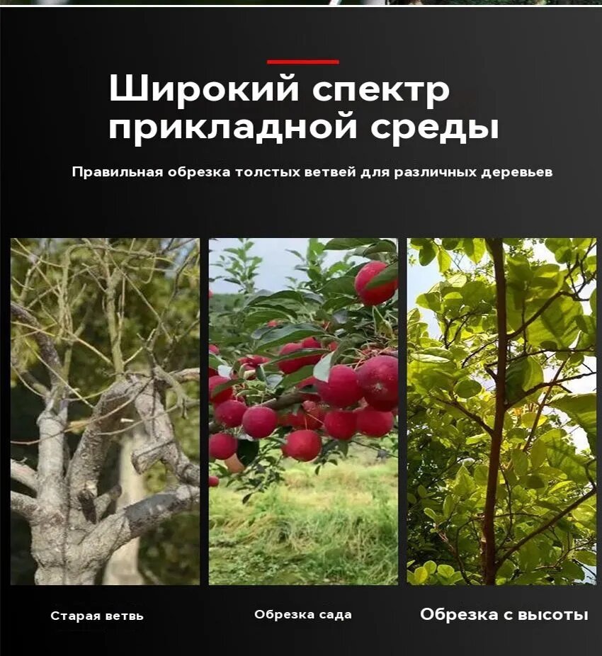 Секатор для высоких веток с веревкой, телескопическая ручка, макс. диаметр 80 мм, сталь, Китай — фото 1