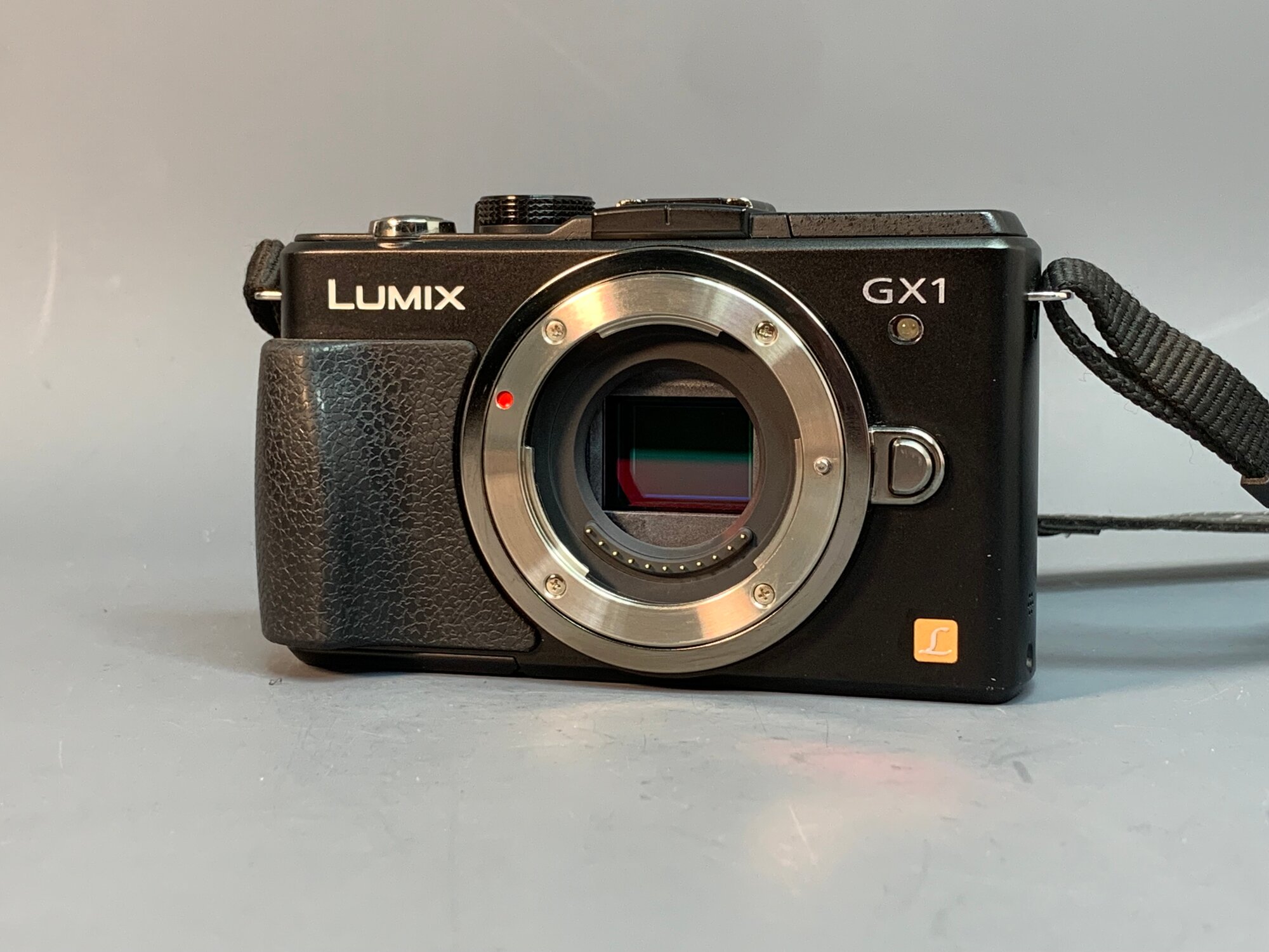 Panasonic Lumix DMC-GX1 — фото 1