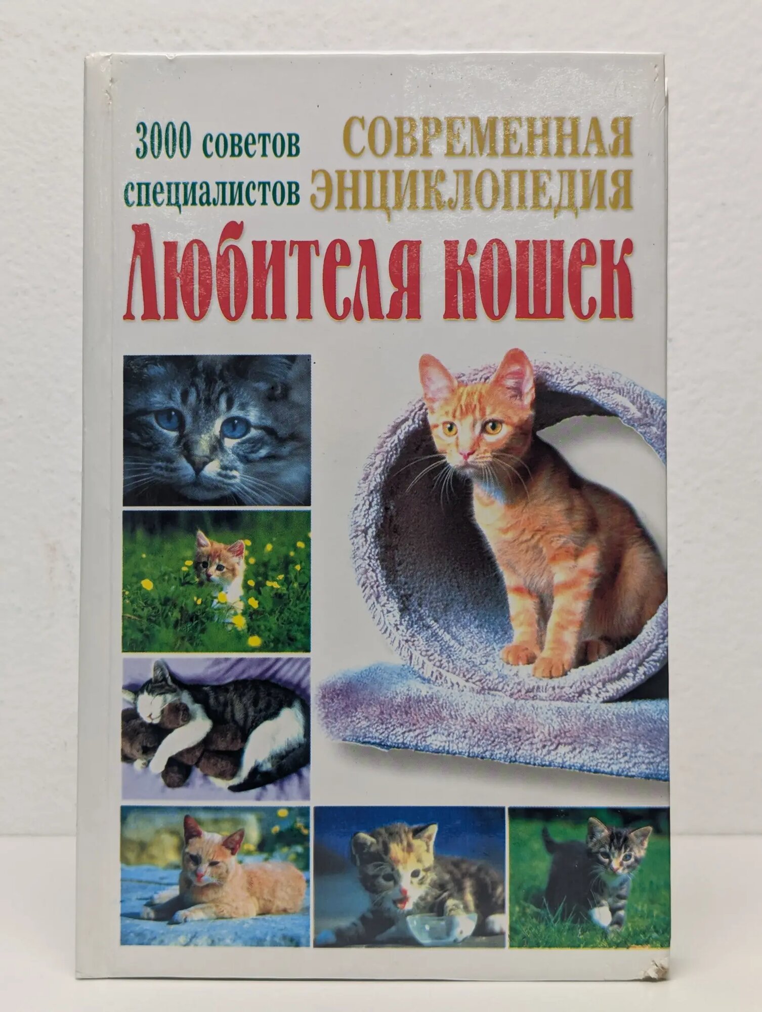 Современная энциклопедия любителя кошек Сборник 2000