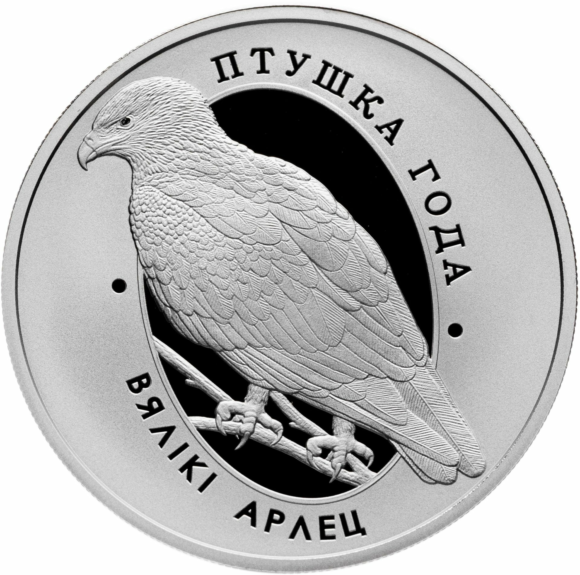 Беларусь 1 рубль 2019 "Птица года - Большой подорлик", Мельхиор медь-никель, в сохранности Proof