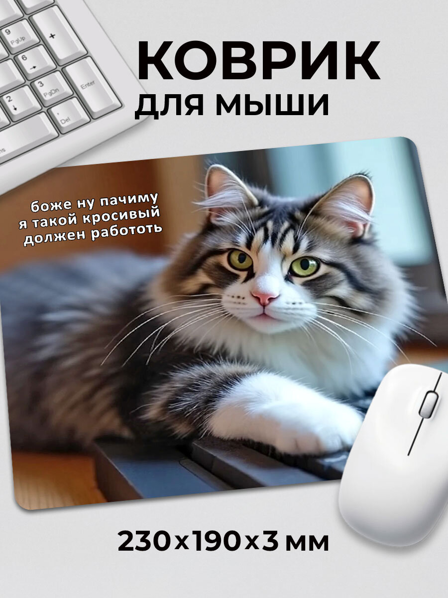 Коврик для мышки Прикольный мем Кот Почему я такой красивый