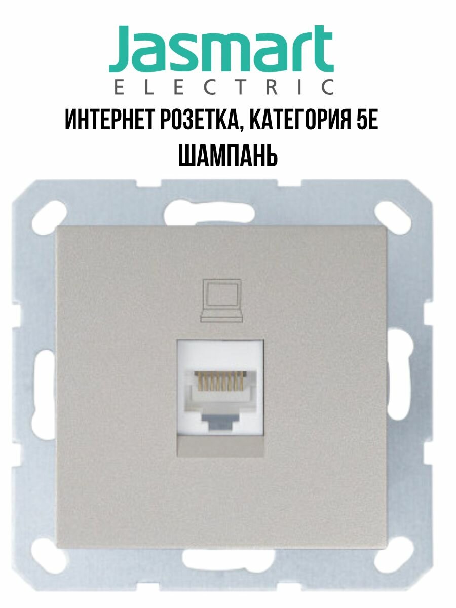 Интернет-розетка RJ45 категория 5е с накладкой jasmart