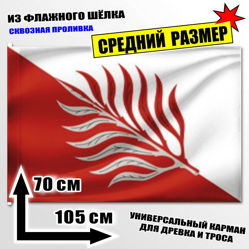 Флаг средний Иссинского района 105x70 см