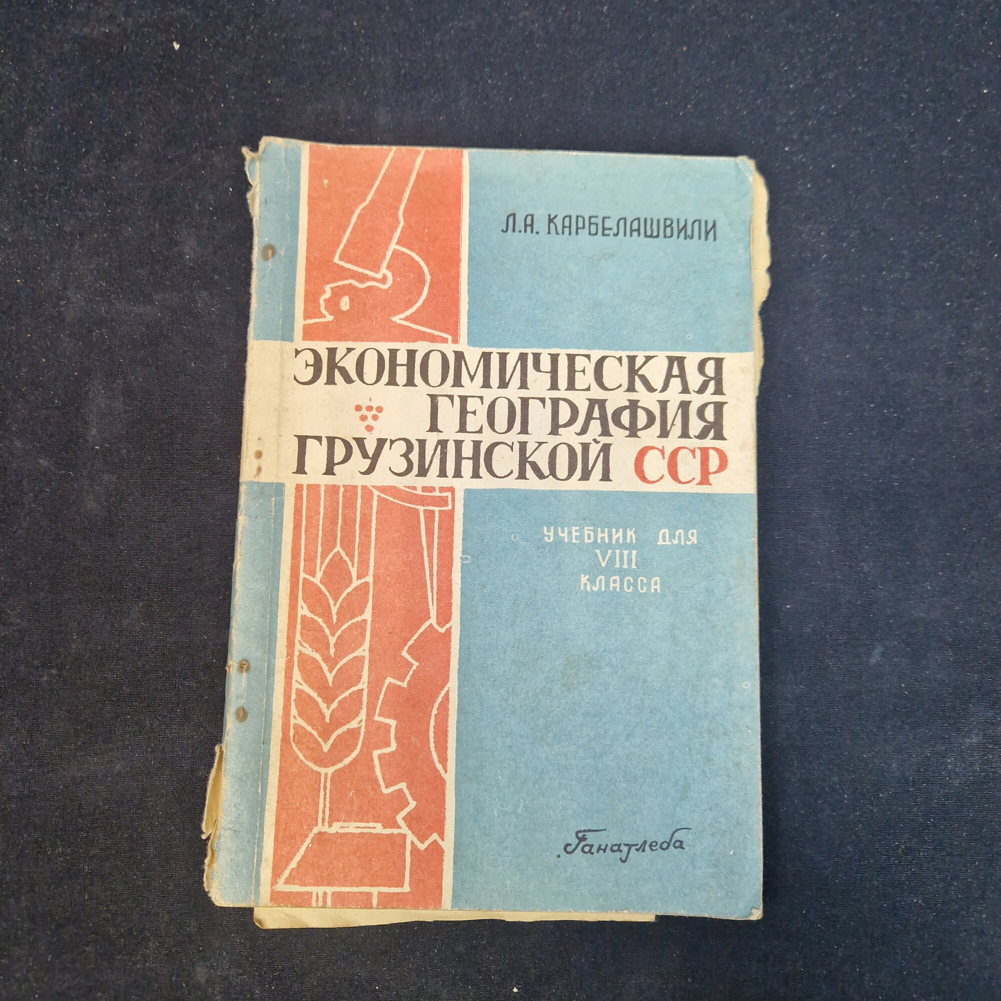 Экономическая география Грузинской ССР. Учебник для VIII класса. Книга СССР, учебник