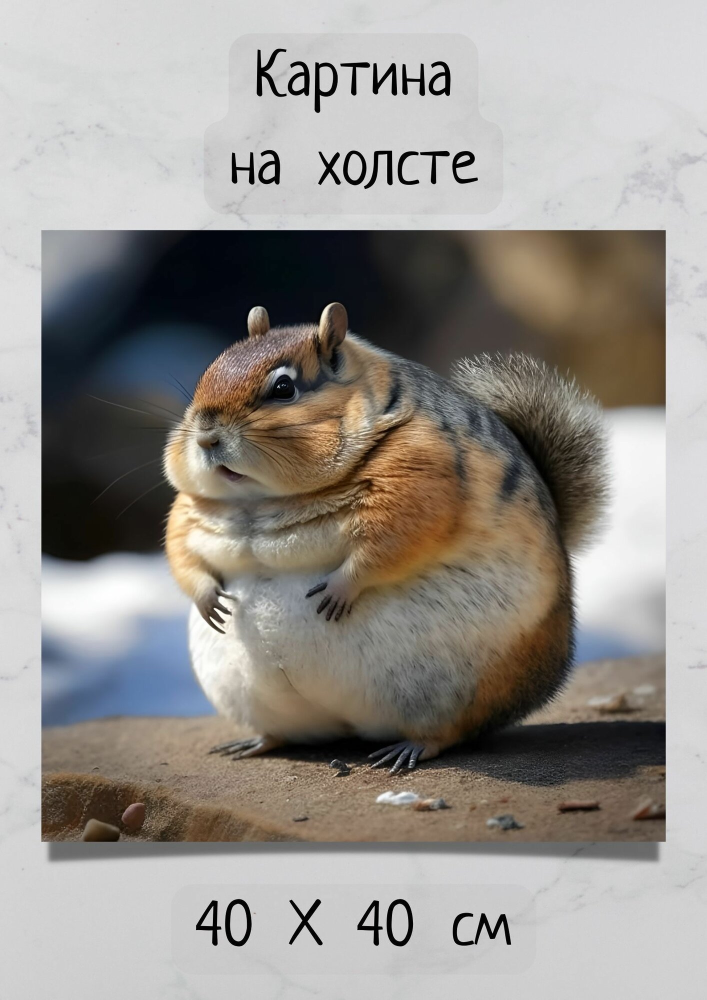 Картина забавные пухлые животные - "Толстая белка"