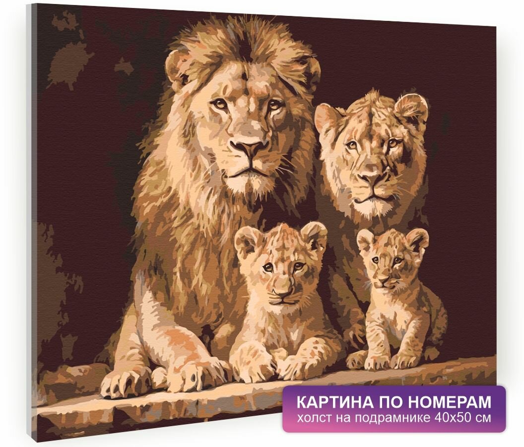 Картина по номерам на холсте с подрамником 40х50 см. Природа, животные, рыбы, птицы. Лев, львица. "Лев", арт. 5631/