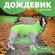 Одежда для животных