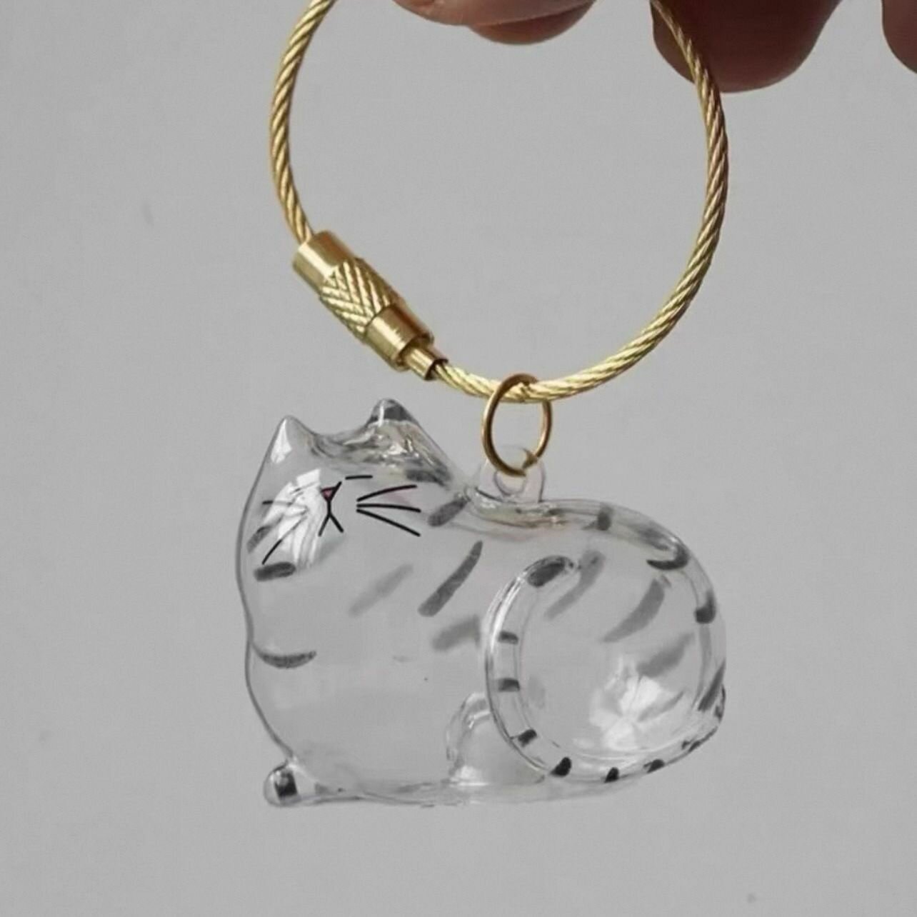 Брелок-капсула для кошачьей шерсти Прозрачный, уникальный, Брелок в форме кошки, вы можете собирать кошачью шерсть