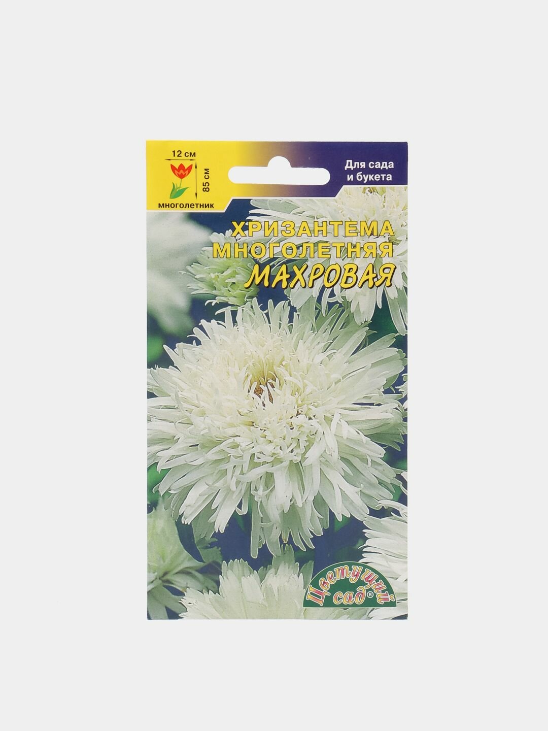 Семена Хризантемы Многолетней, белая, набор 5 шт