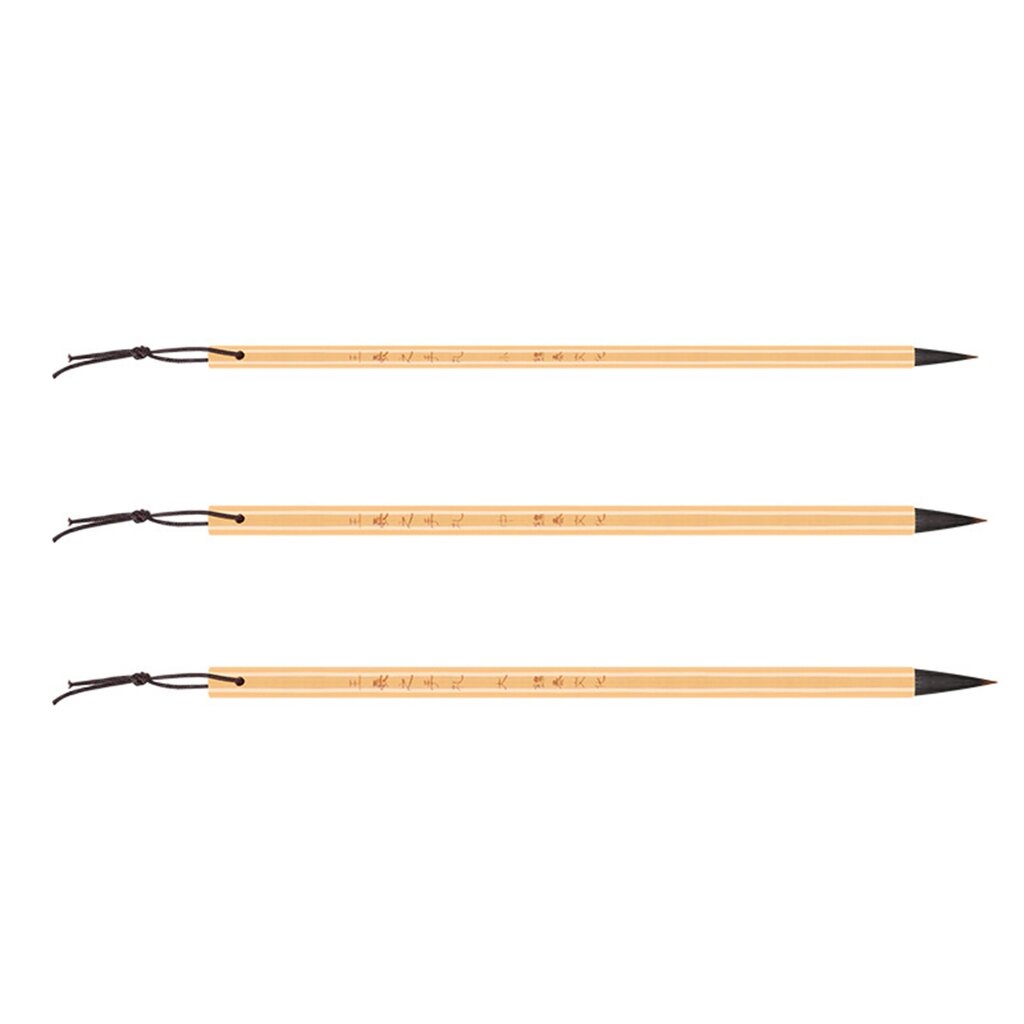 3шт Китайская Каллиграфическая Кисть Ручка Sumi Drawing Brush Начинающий Каллиграфический Подарок для Китайской Каллиграфии, Рисования Тушью