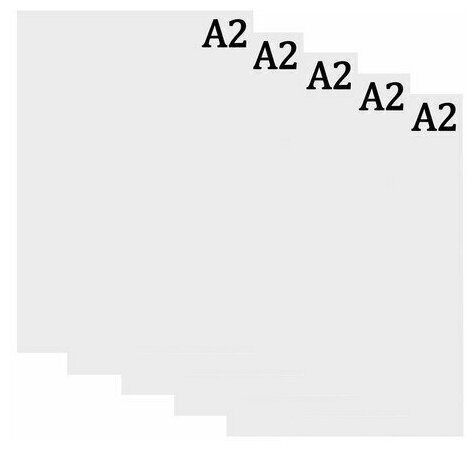 Ватман чертёжный А2, 5 листов, 200 г/м2