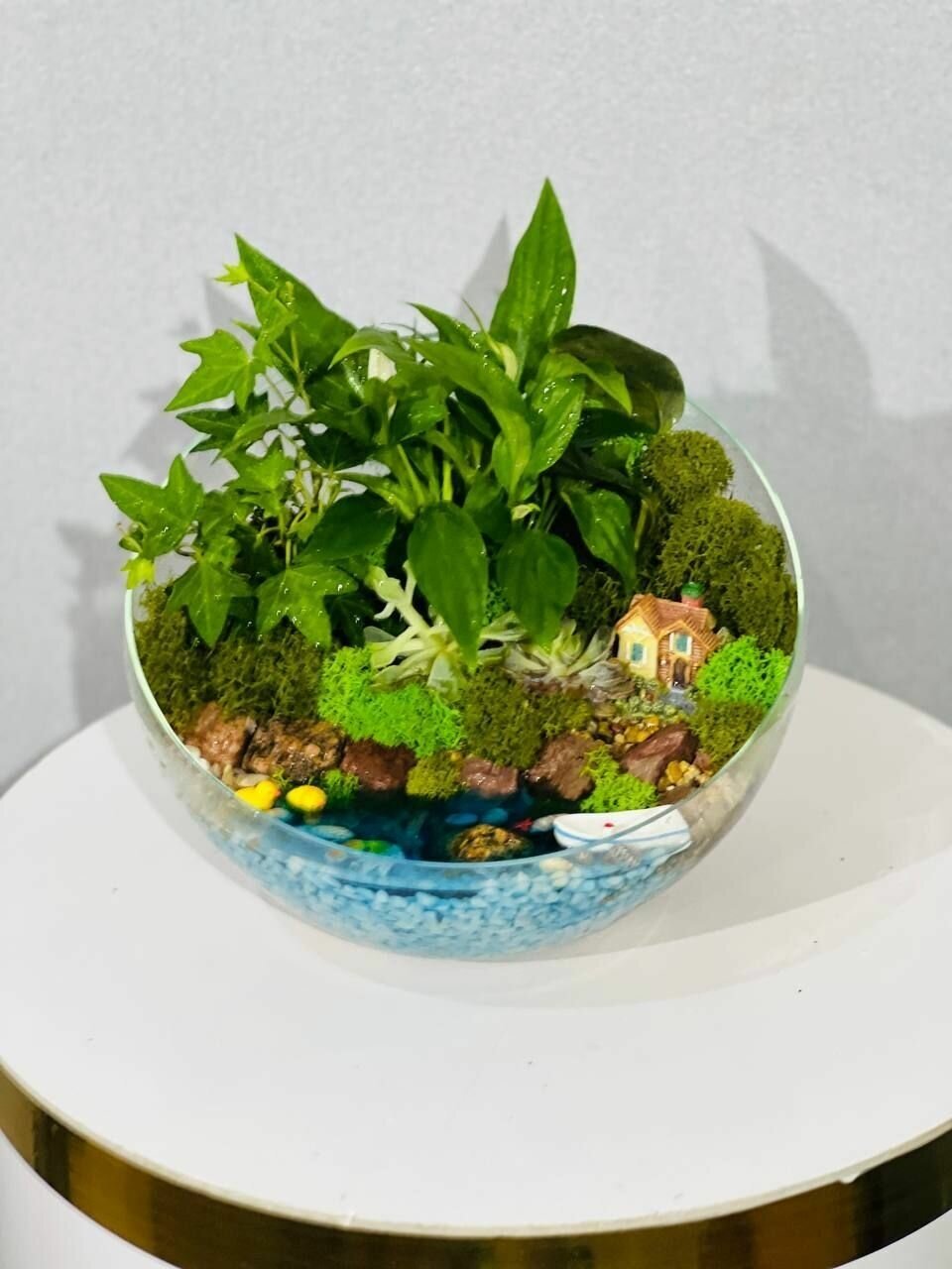 Флорариум с водоёмом 23см / Комнатные растения в вазе