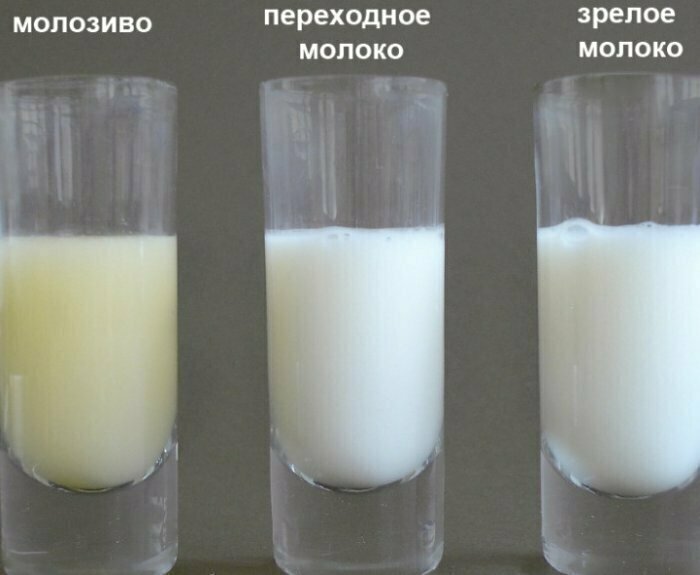 Гель для душа Colostrum — фото 1