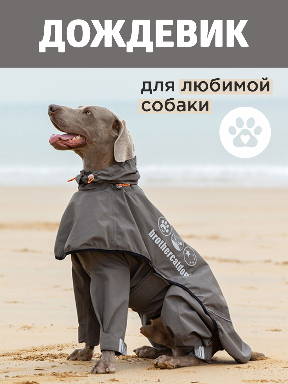 Дождевик для собак - комбинезон и накидка от бренда Brothers Cat&Dog