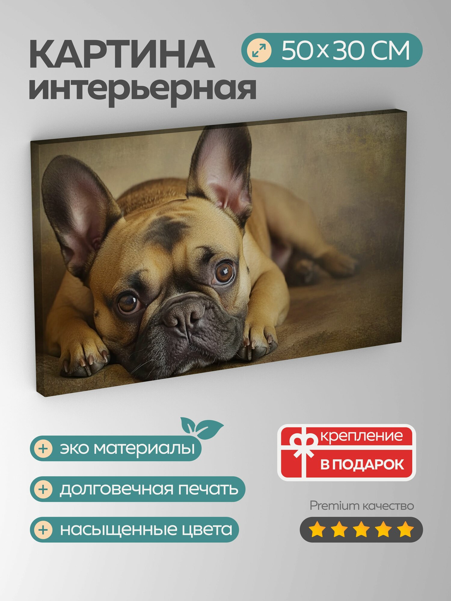 Картина на холсте интерьерная 50х30 см, французский бульдог, портрет, мягкий стиль, нежная натура, привлекательный