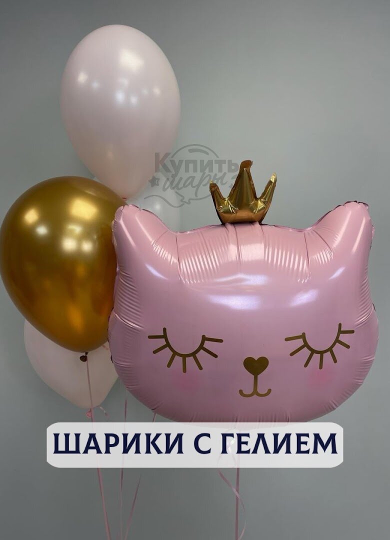 Воздушные шары с гелием, шарики воздушные "Принцессы" №2527