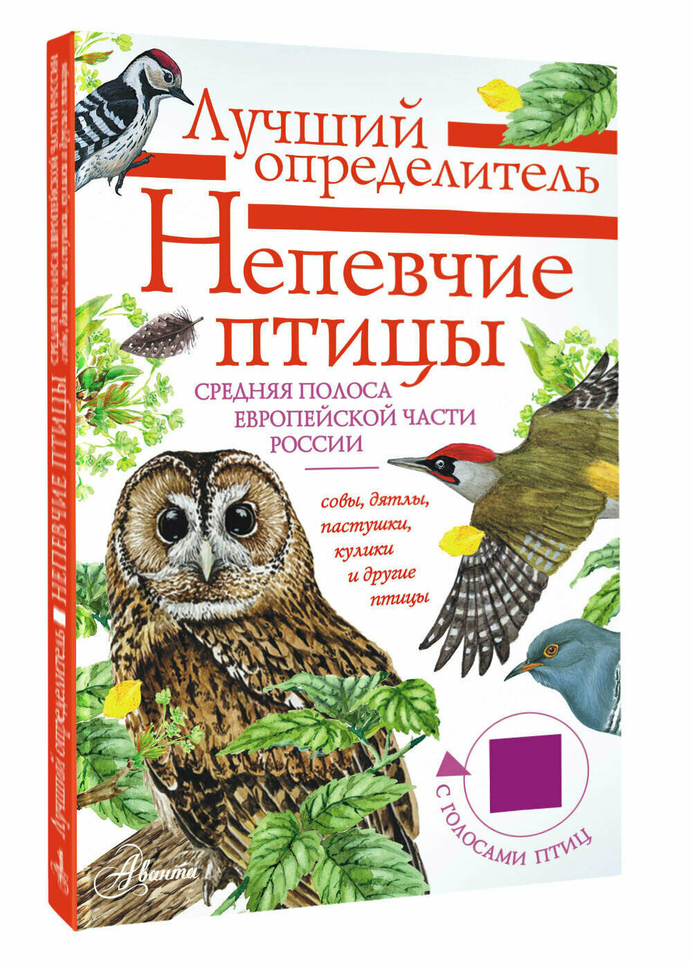 Непевчие птицы. Средняя полоса европейской части России. Определитель с голосами птиц