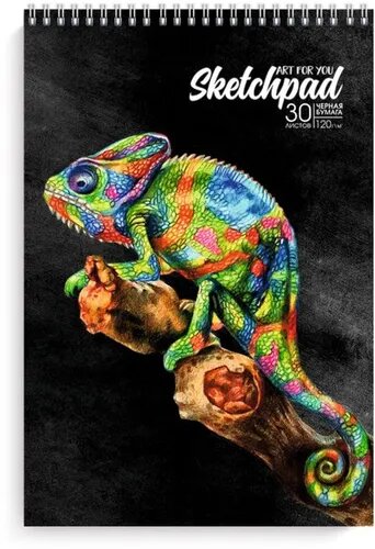 Скетчбук Феникс Плюс "Хамелеон", A4, 120г/м2, черная бумага, 30 л