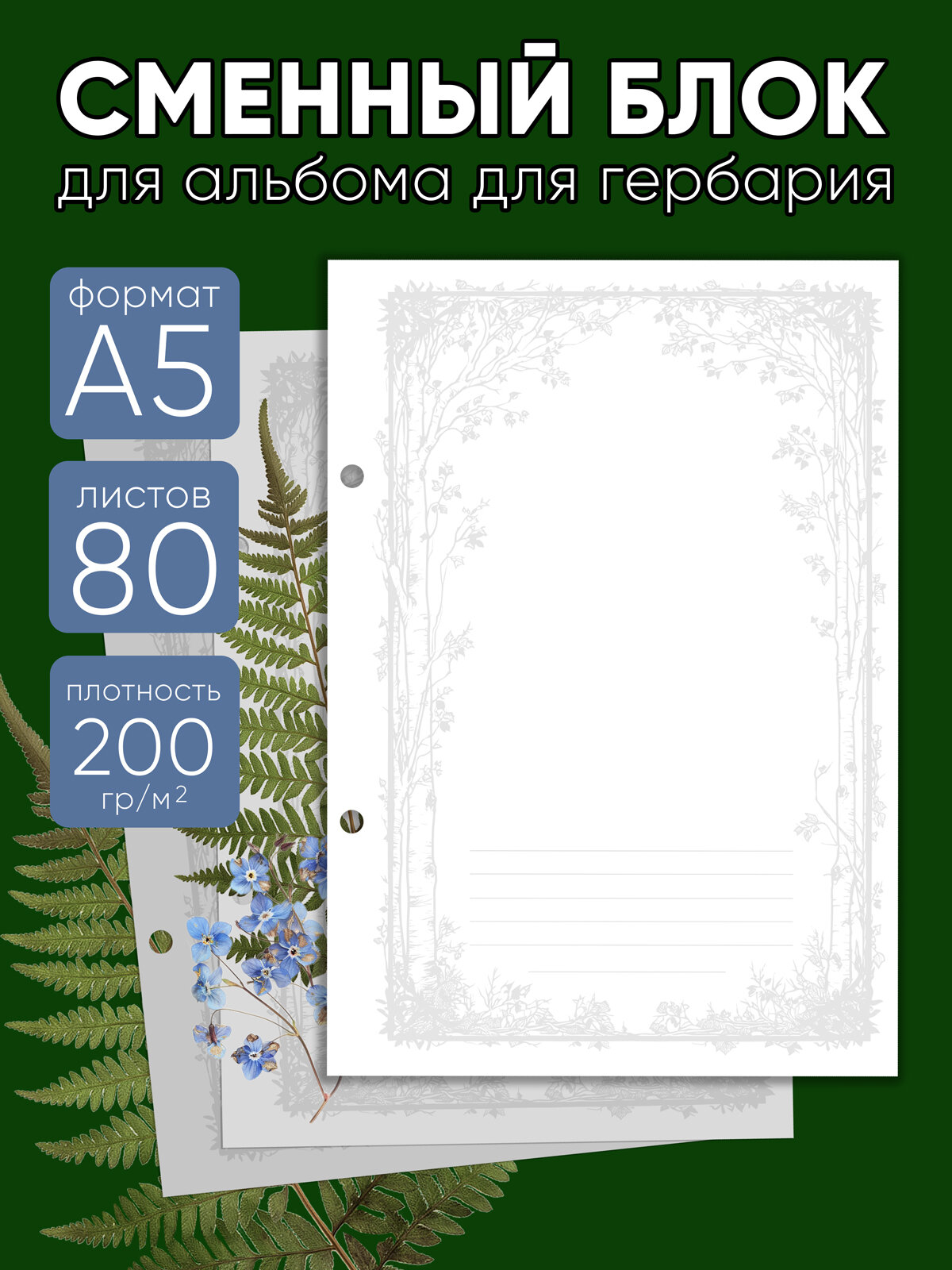 Сменный блок для альбома для гербария Березки , А5