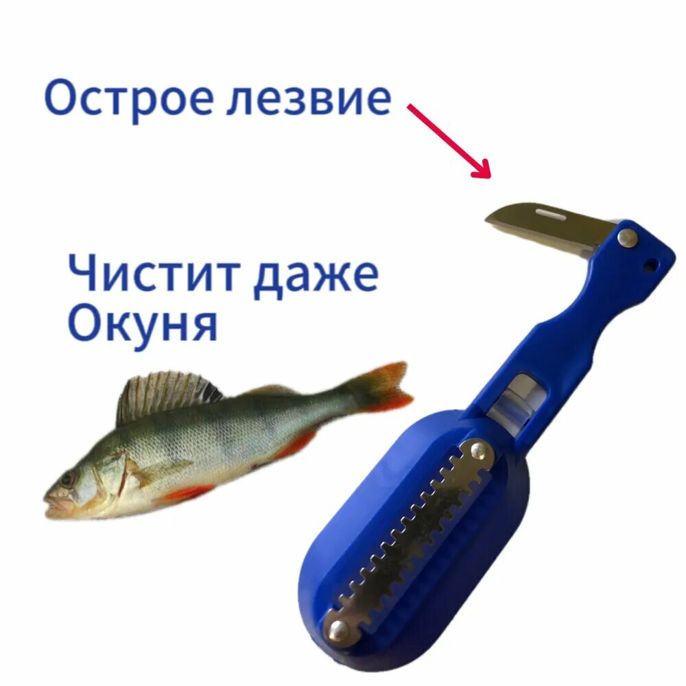 Рыбочистка — фото 1