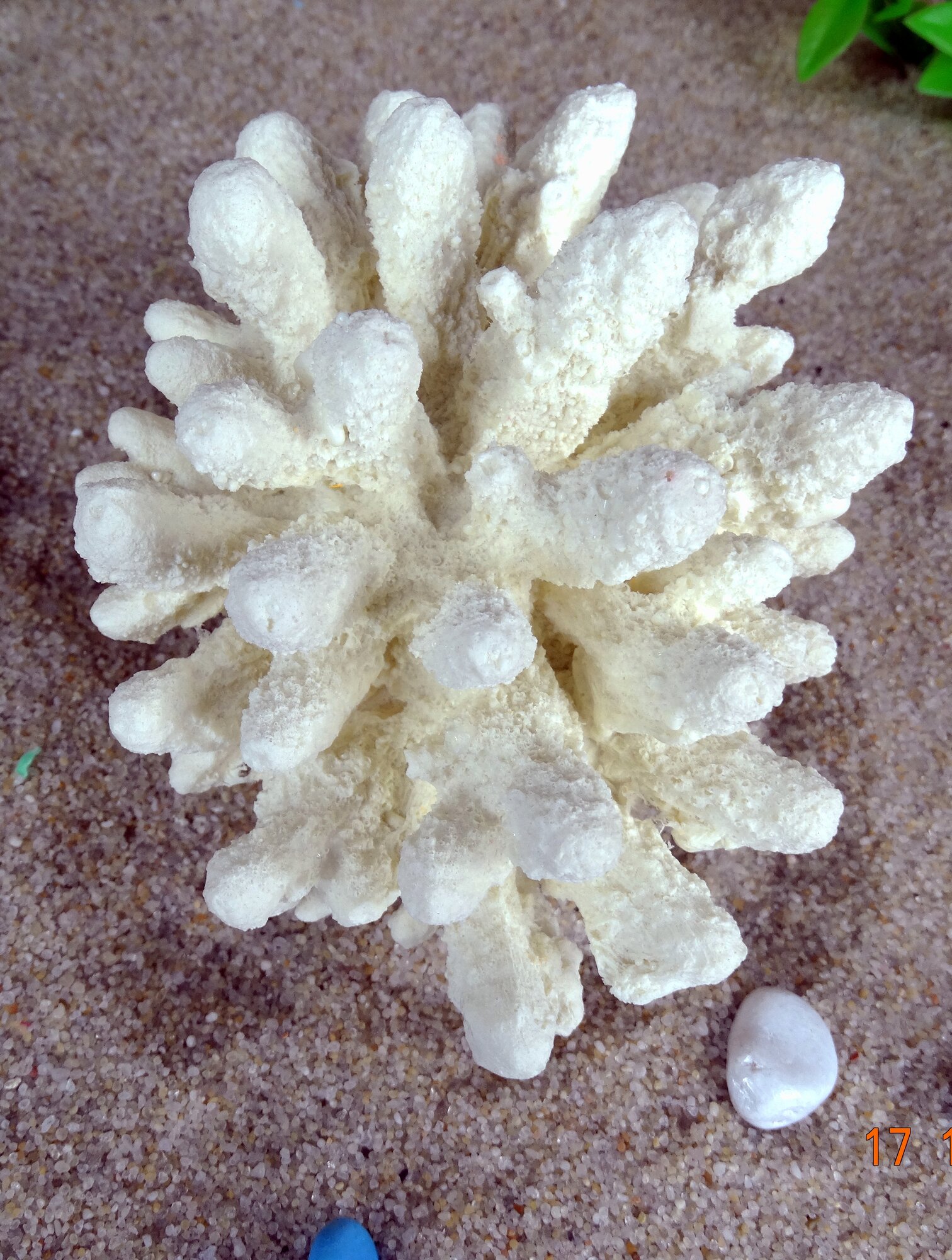 Искусственный коралл коралл ЭКО "Монти", для аквариума, ручной работы, эко коралл