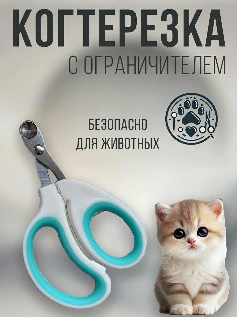 Когтерезка бирюзовая, когтеточка, когтерез, пилка для собак, кошек