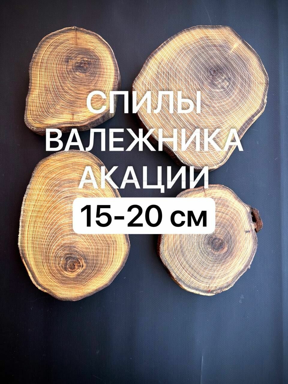 Спил Валежника Акации, диаметр 15-20см, 1шт