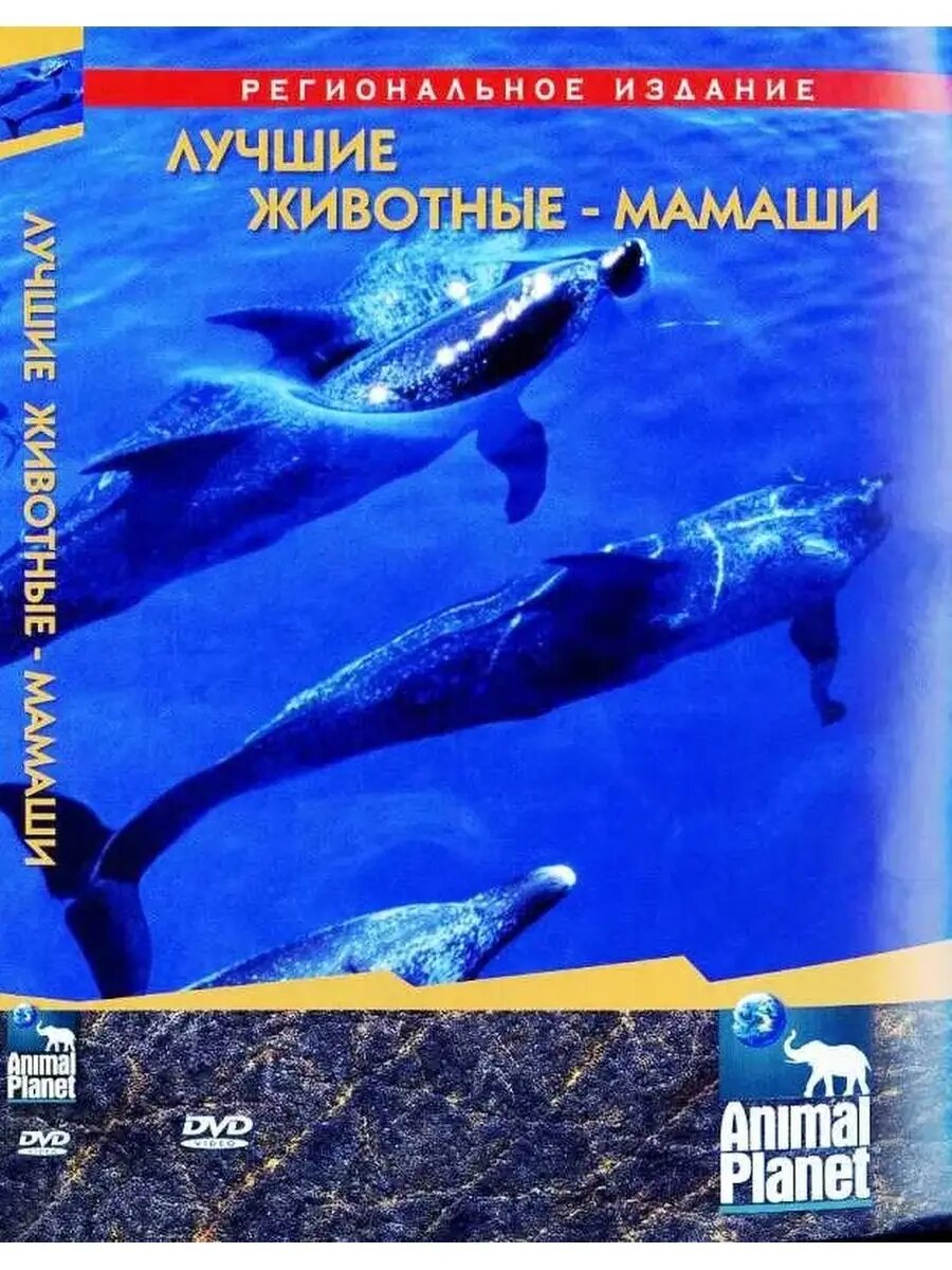 Discovery. Лучшие животные-мамаши. Региональная версия DVD-video (DVD-box)