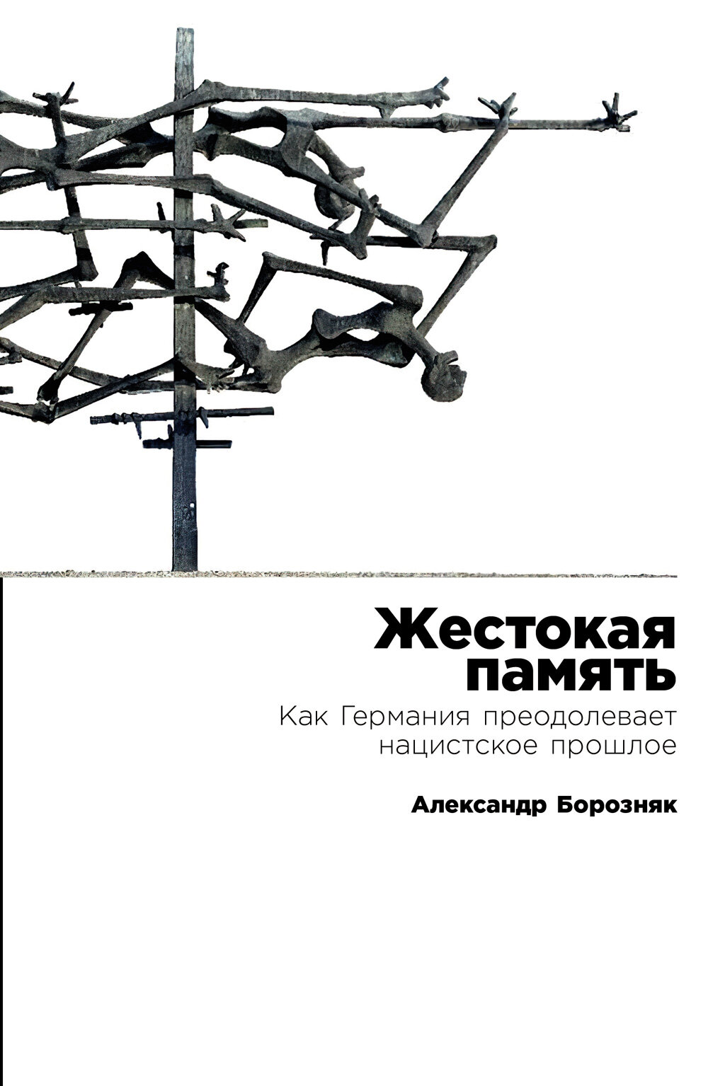 Жестокая память: Как Германия преодолевает нацистcкое прошлое (электронная книга)