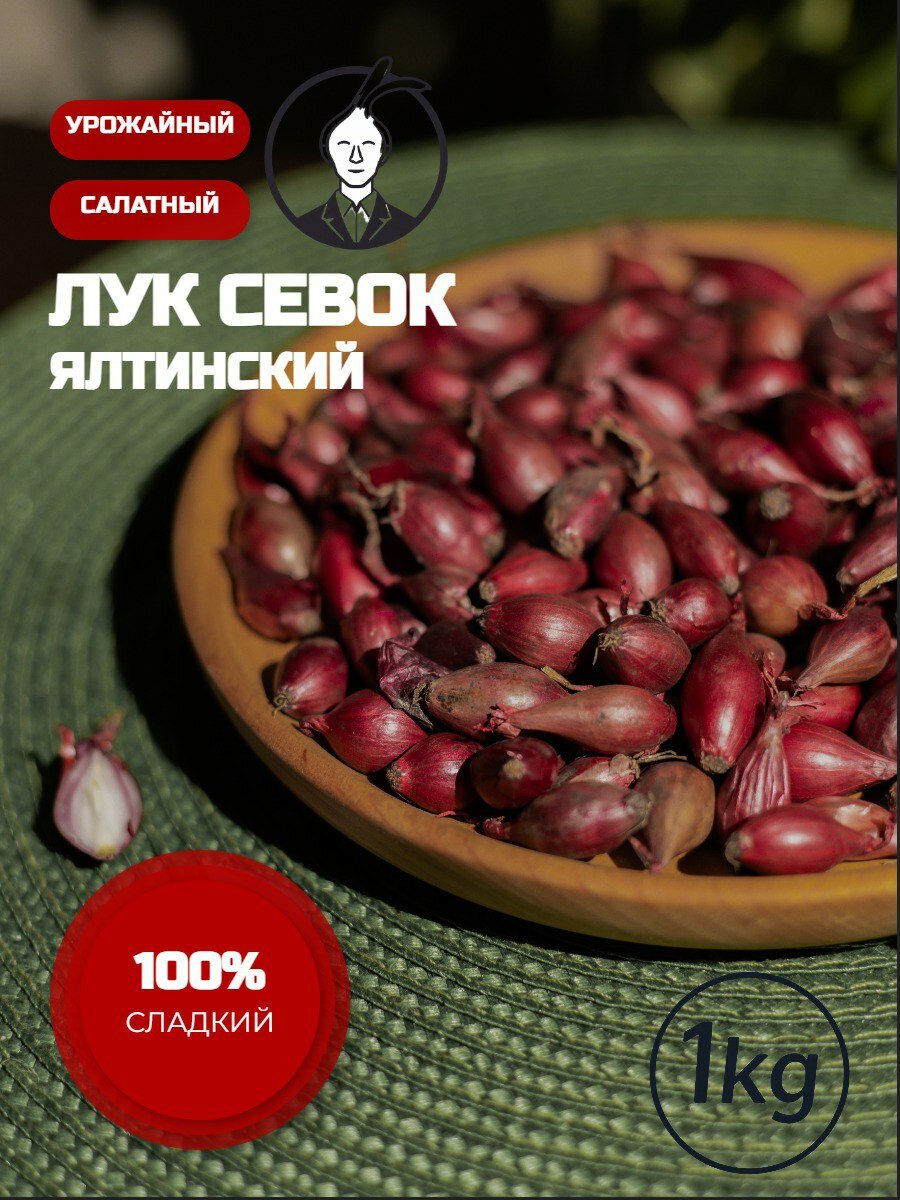 Лук-севок Ялтинский красный 1кг / Крымский лук севок для посадки / Сладкий салатный лук / Лук Ялтинский на репку / Севок фиолетового лука 1 кг