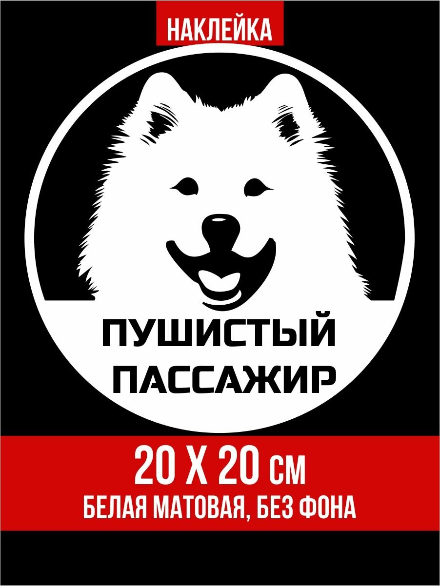 Самоед Пушистый пассажир, Наклейка,20x20 см, Винил, белая матовая пленка