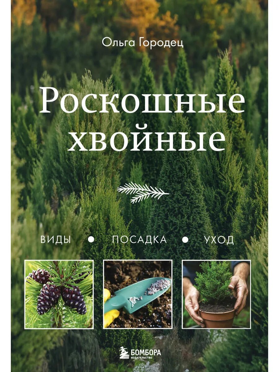 Роскошные хвойные: виды, посадка, уход