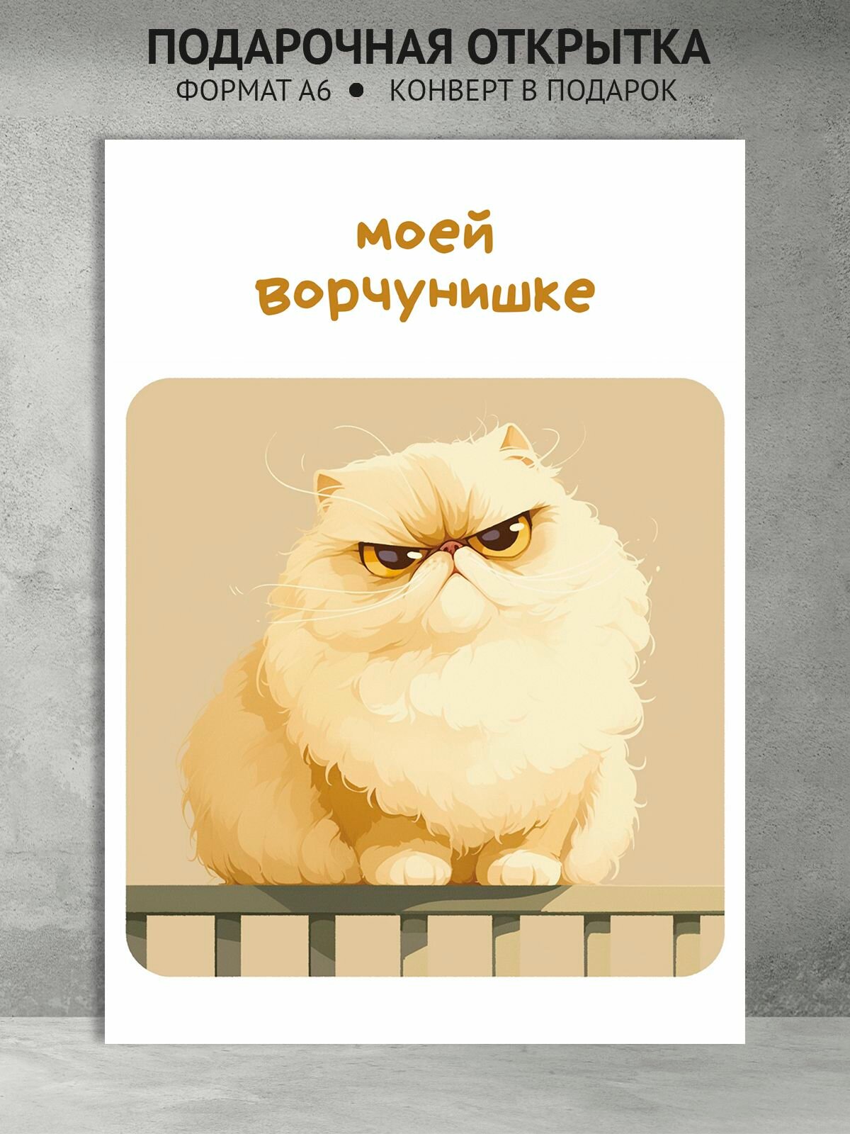 Подарочная открытка со смешной иллюстрацией персидского кота "Моей ворчунишке" с днем рождения, с юбилеем, без повода