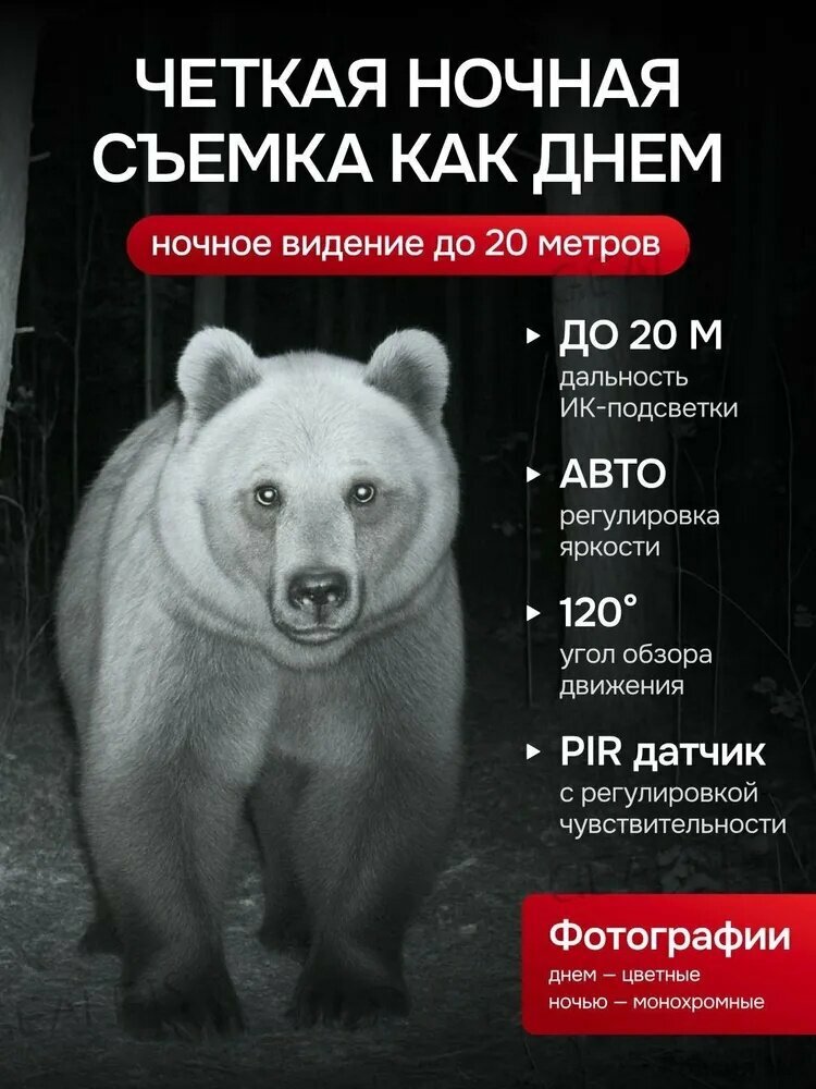 Фотоловушка — фото 1