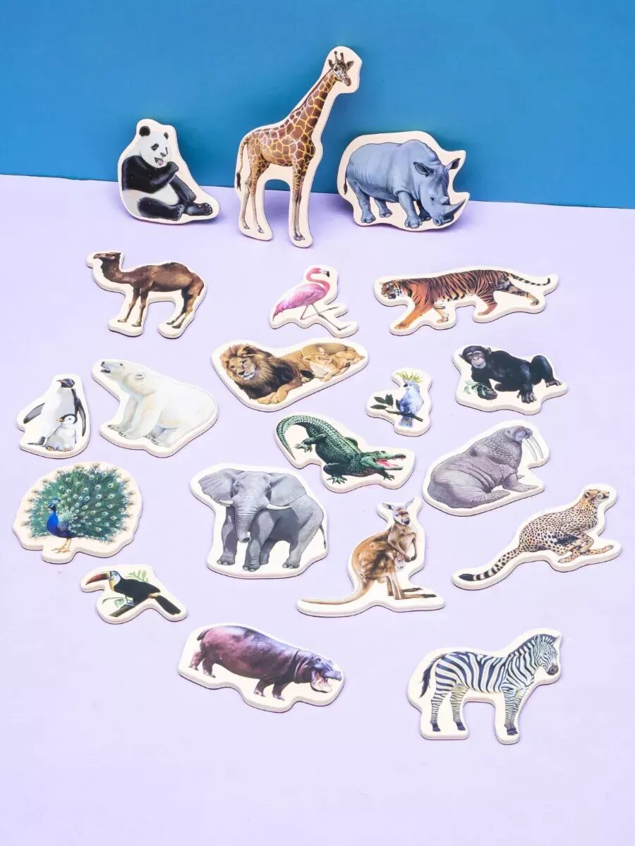 Набор магнитов Дикие животные 20 шт.