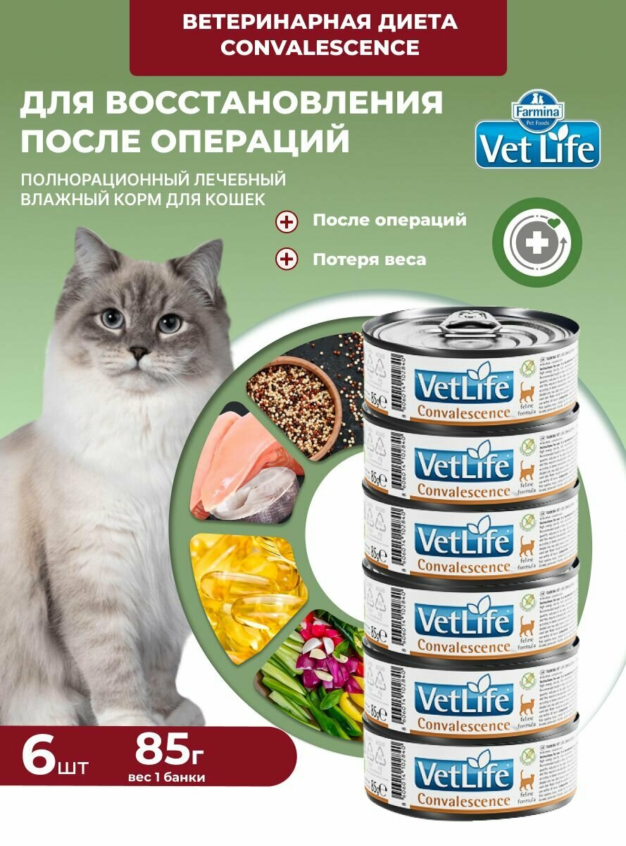 Диетический корм Vet Life 85г 6 шт Convalescence Для кошек Восстановление после болезни, операции, для ослабленных