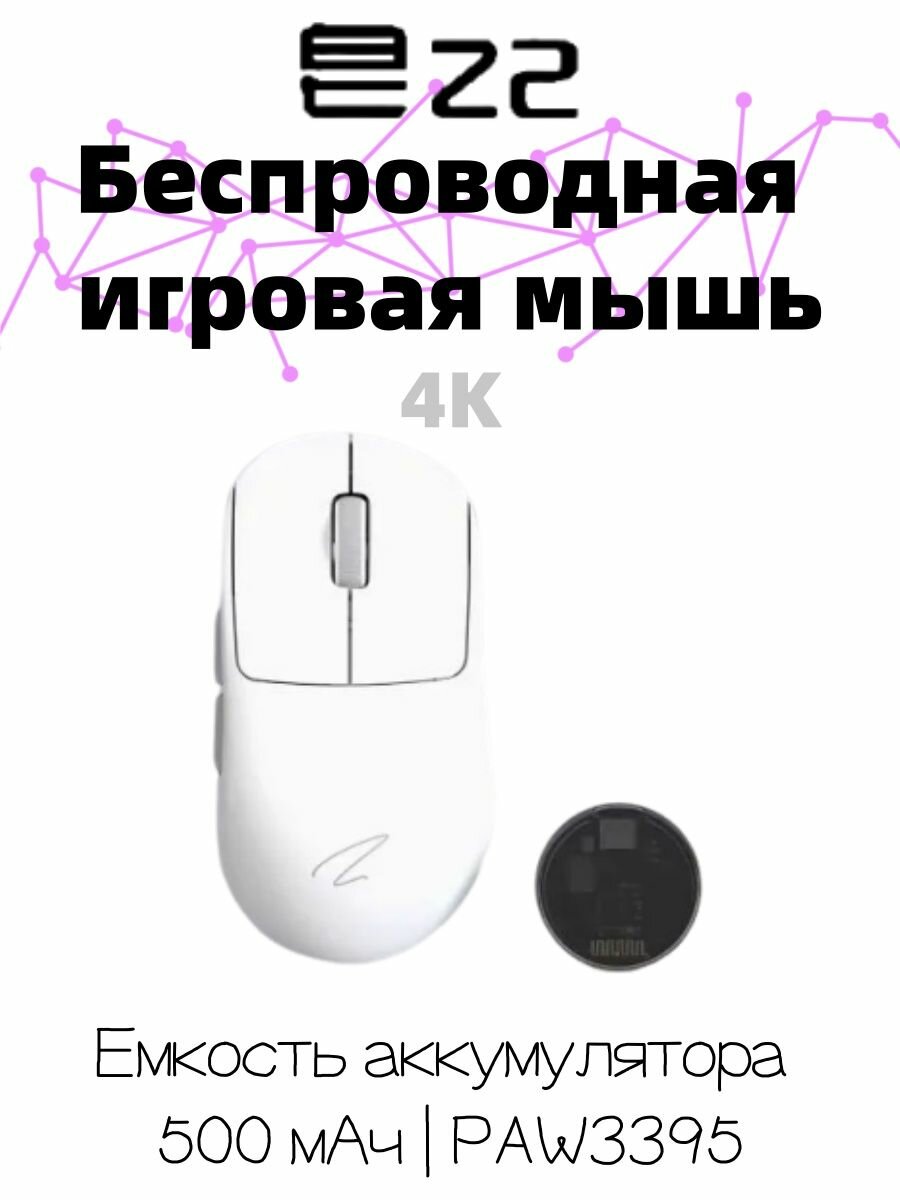 Мышь