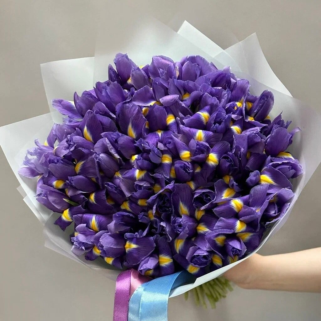 Букет из фиолетовых ирисов 51 шт, красивый букет цветов, шикарный, премиум цветы, премиум букет