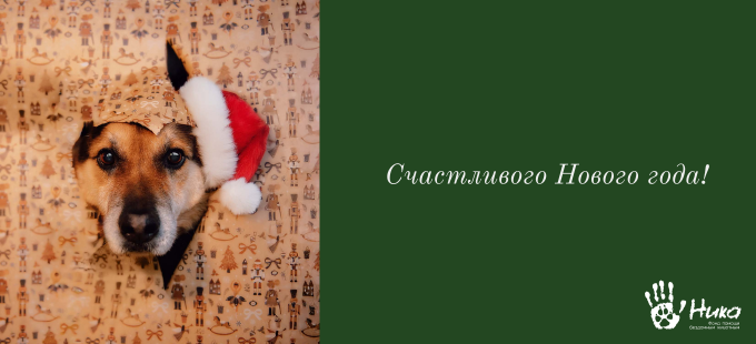 Подарочный сертификат - БФ ПБЖ Ника | номинал 500 RUB | Россия | Легкий способ помочь