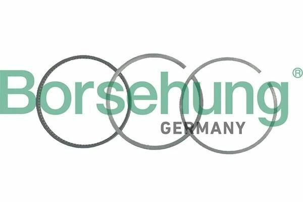 Кольца поршневые Borsehung B19035 комплект на 1 поршень dm.81.00 STD 1.0-1.2-2.0 1 ПОР. Audi A3, VW Bora, Golf, Jetta, New Beetle, Passat, Touran, Skoda Octavia 1.6 00-