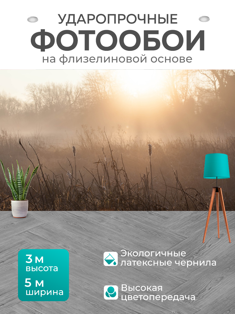 Фотообои моющиеся ударопрочные "Туман, утро, пейзаж" 500x300 см. флизелиновые на стену