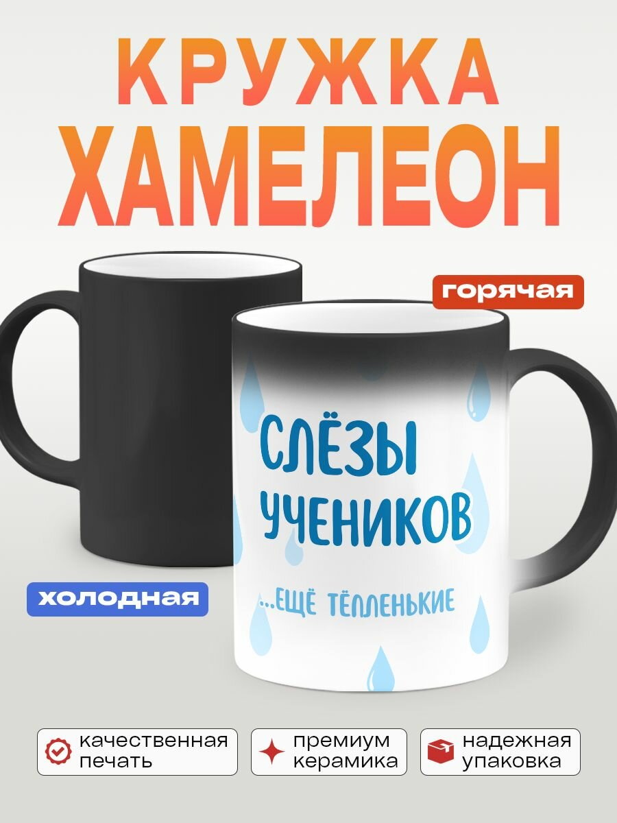 Кружка хамелеон с приколом в подарок учителю, 330 мл, 1 шт.
