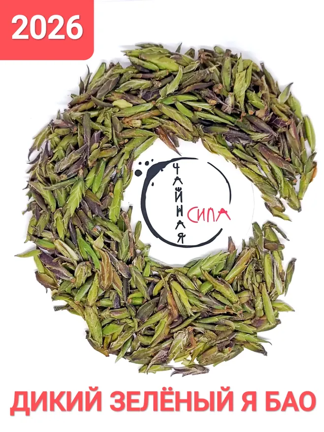Дикий Зелёный Я Бао, 100 гр, 2026 г, Юньнань, Китай. Настоящий китайский чай почки с диких пуэрных деревьев