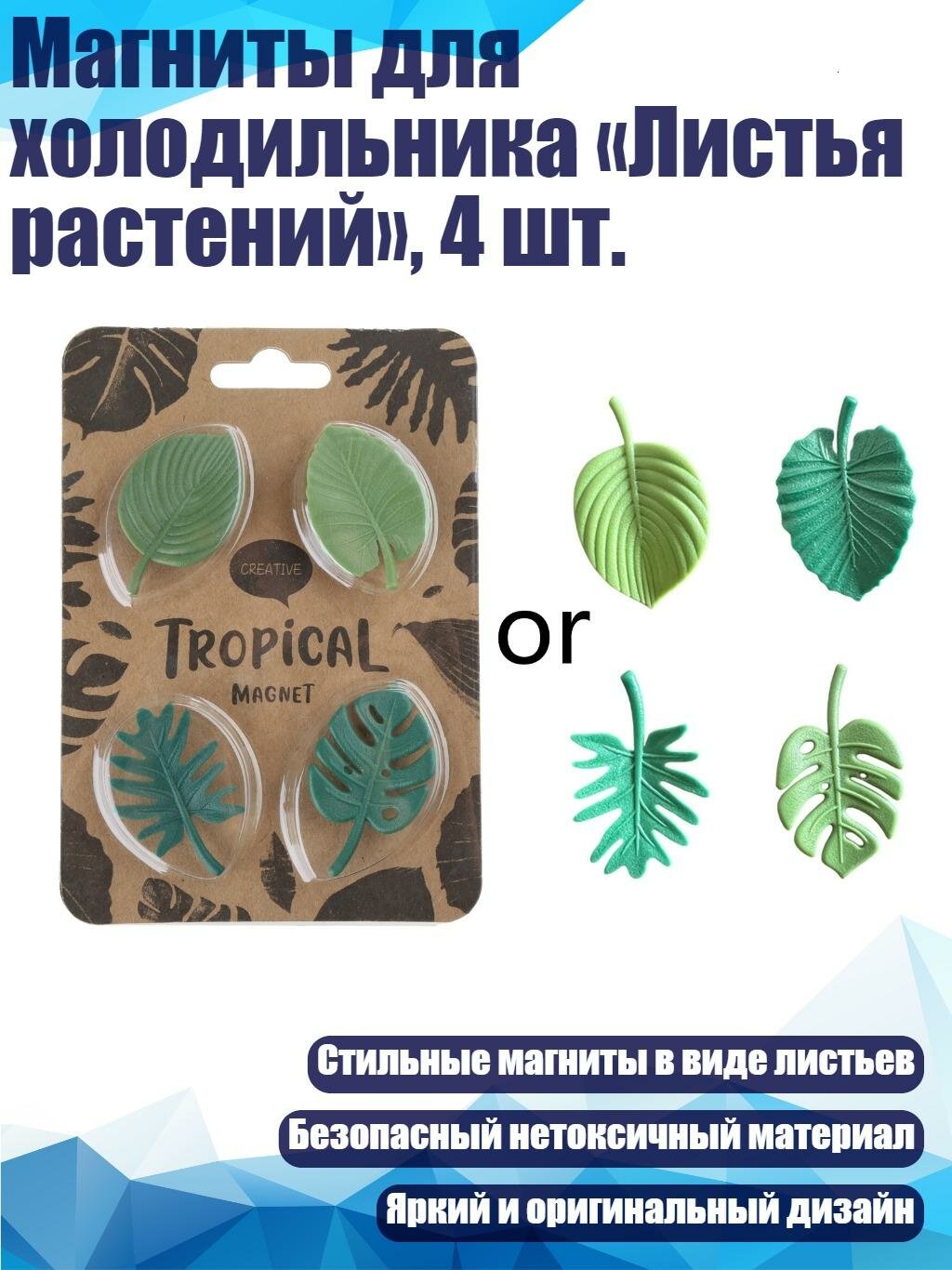 Магниты для холодильника «Листья растений», 4 шт.