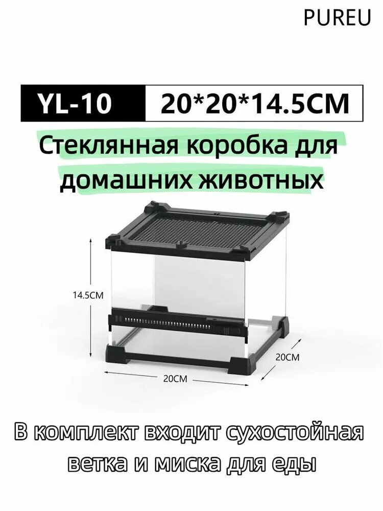 Стеклянная коробка для кормления домашних животных