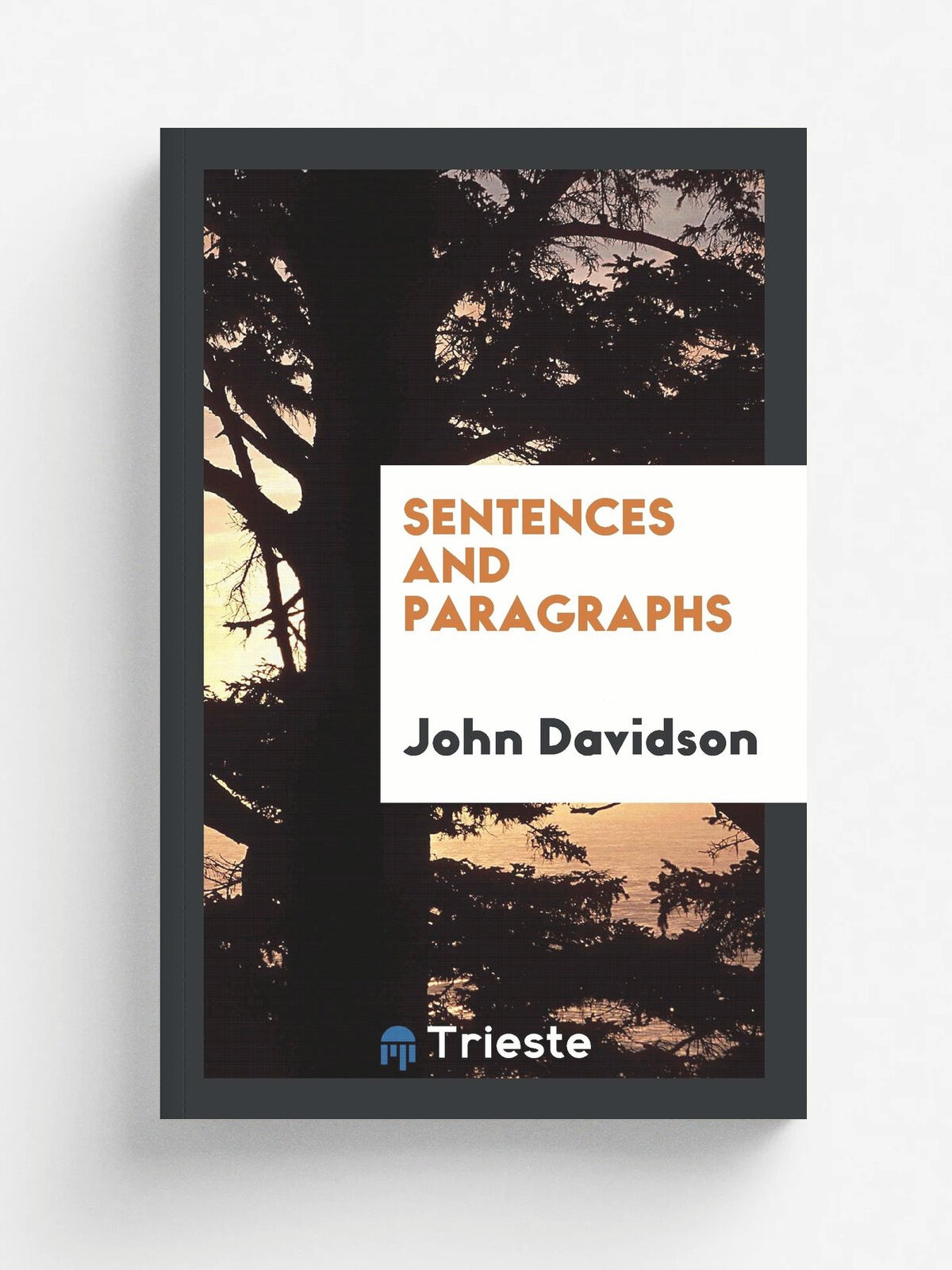 Sentences and Paragraphs