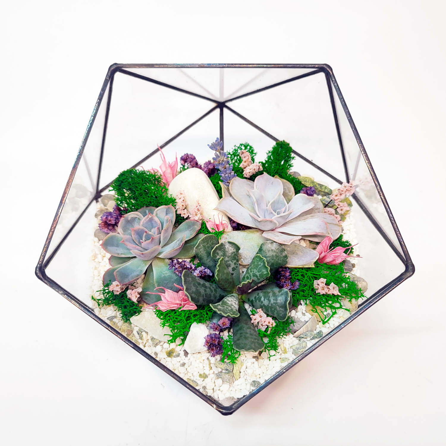 Флорариум с суккулентами "Бархатная нежность" Икосаэдр 16см